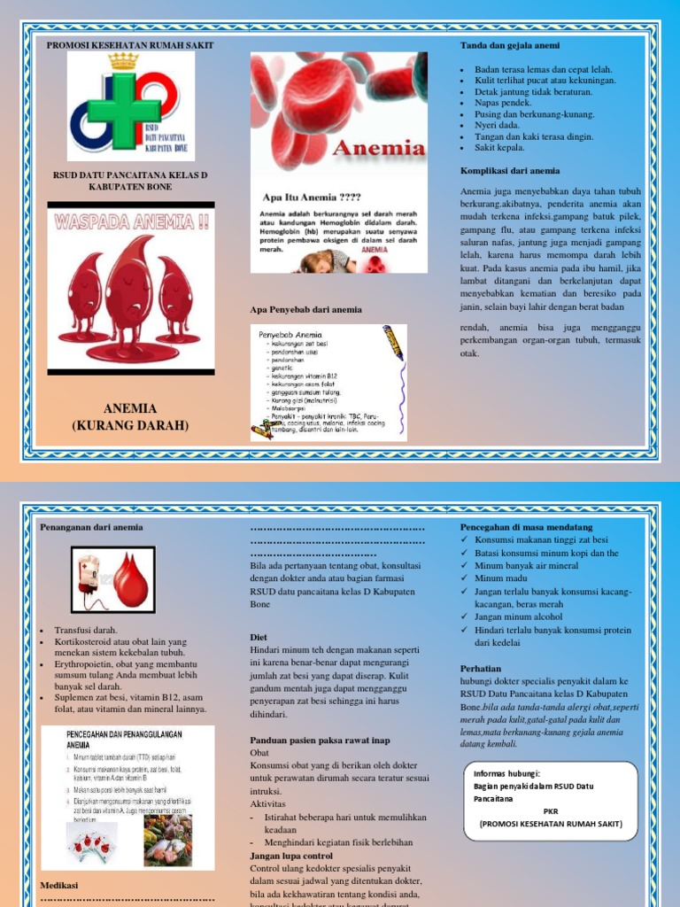 Panduan Penanganan Anemia di RSUD Bone | PDF