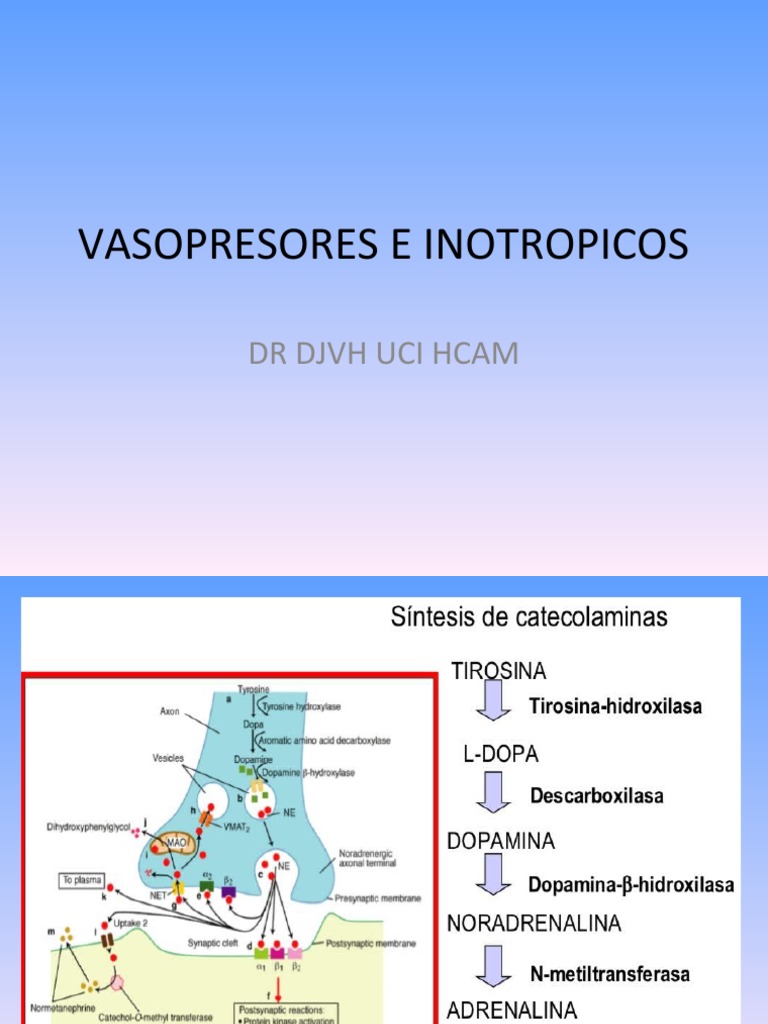 Vasopresores e inotrópicos utilizados en cuidados intensivos ...