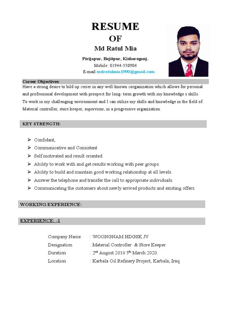 Ratul CV | PDF