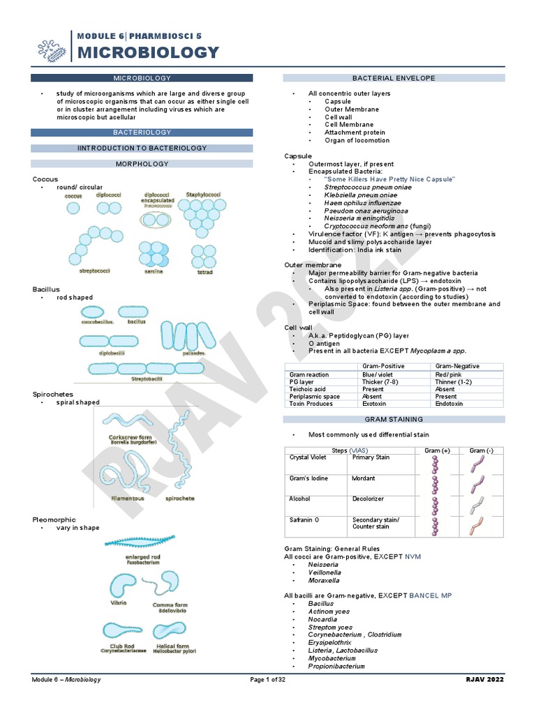 6 1-Microbiology | PDF | Bacteria | Gram Negative Bacteria