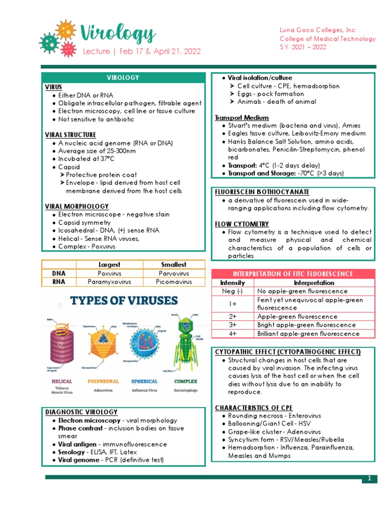 Virology Lecture | PDF | Smallpox | Virus