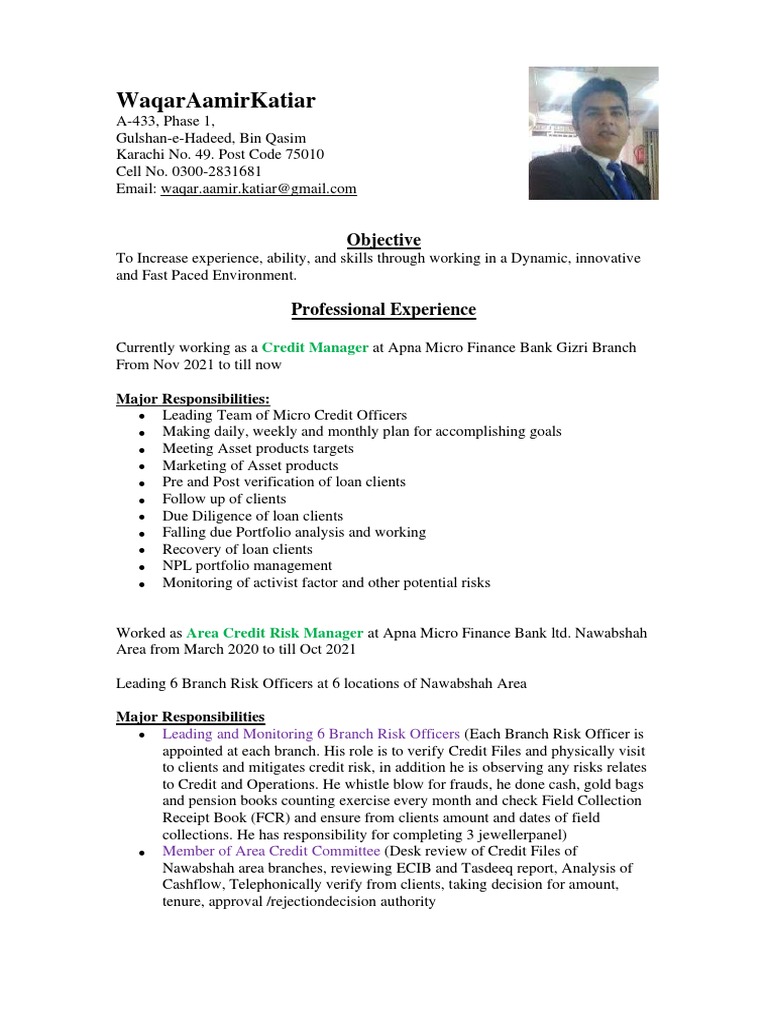 Waqar Aamir Katiar CV | PDF | World Bank | Banks