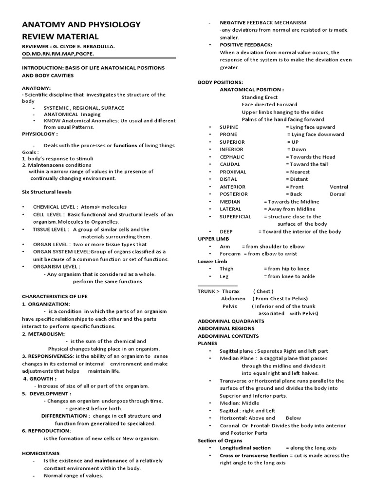 Anatomy and Physiology Overview | PDF | Epithelium | Skin