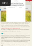 Radoje Domanovic - Vodja | PDF