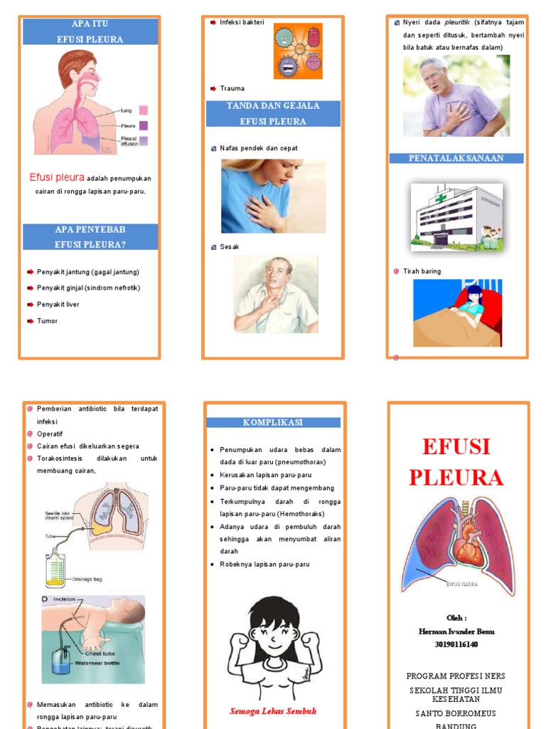 Leaflet Efusi Pleura | PDF