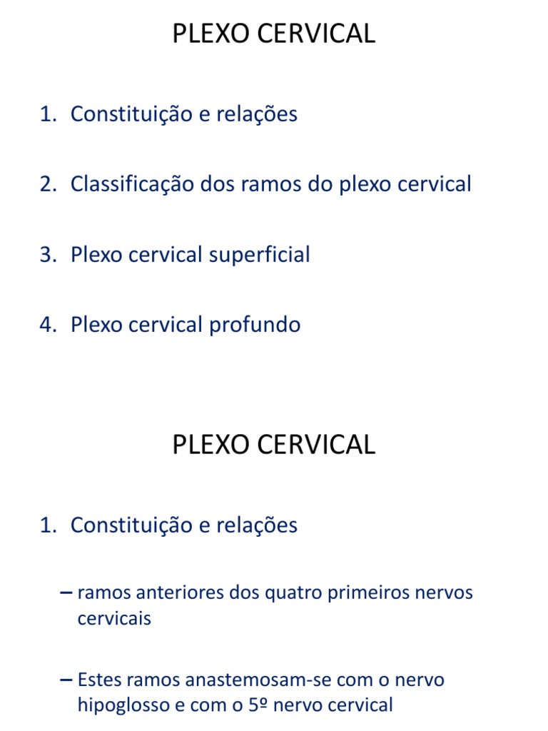 Estrutura e Ramos do Plexo Cervical | PDF | Anatomia humana | Cabeça e ...