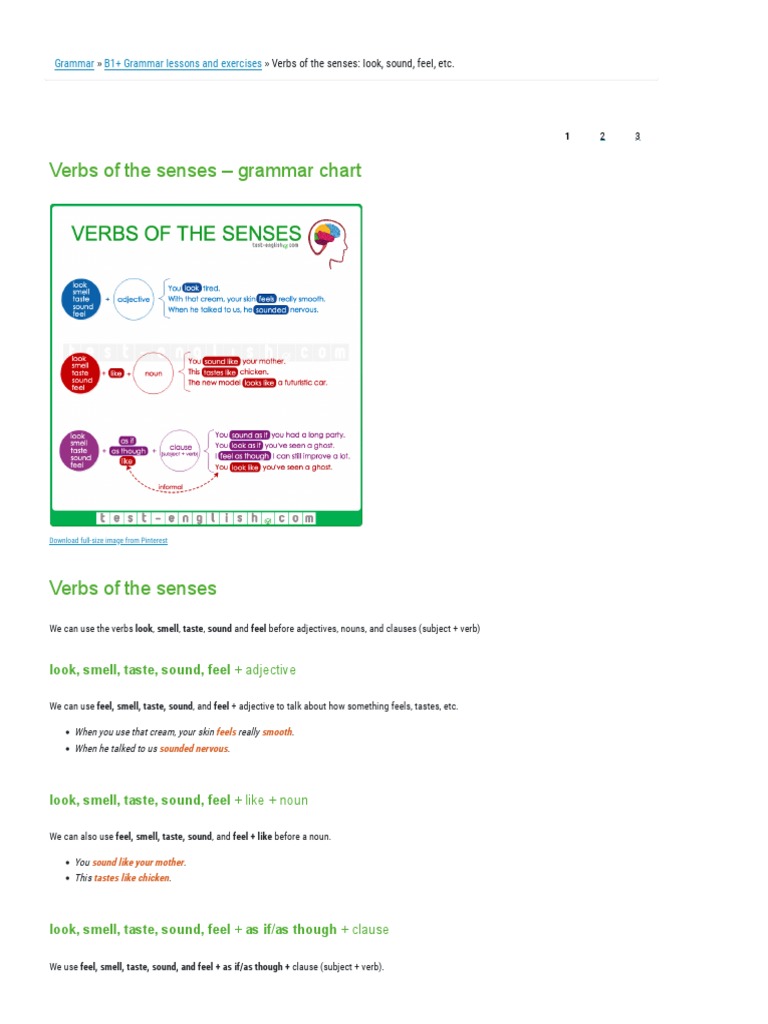 9-Verbs of The Senses Look, Sound, Feel, Etc. | PDF