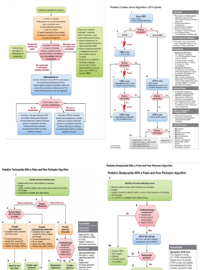 Algoritmos PALS | PDF