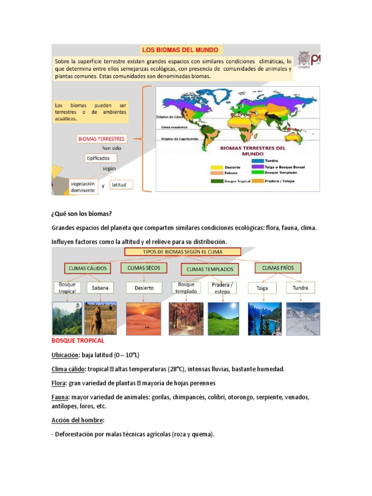 Biomas y Desarrollo Sostenible | PDF | Entorno natural | Ciencias de la ...