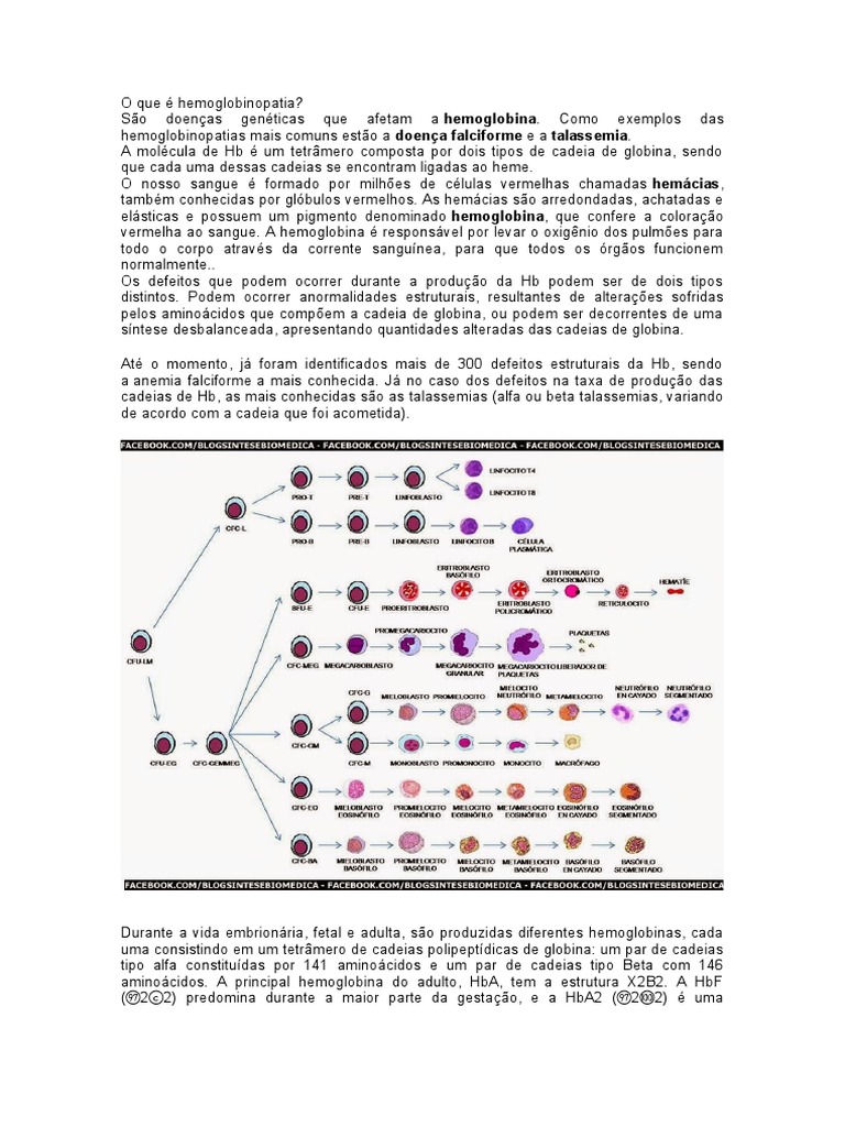 O Que É Hemoglobinopatia, Aula | PDF | Hemoglobina | Sangue