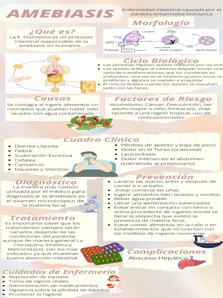 Infografía de Amebiasis. | PDF | Salud pública | Gastroenterología