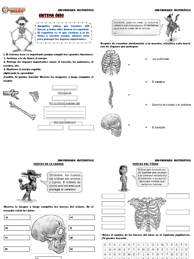 EL SISTEMA OSEO | PDF | Articulación | Esqueleto