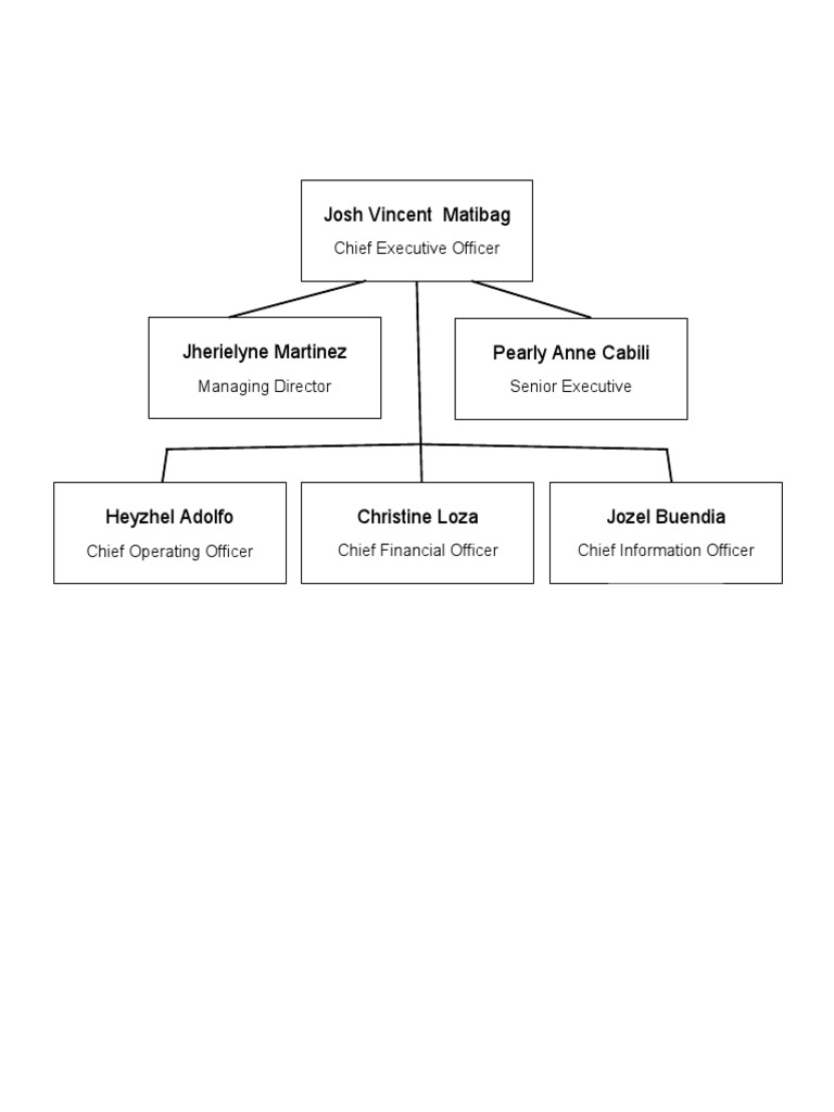 Ict Organizational Chart | PDF