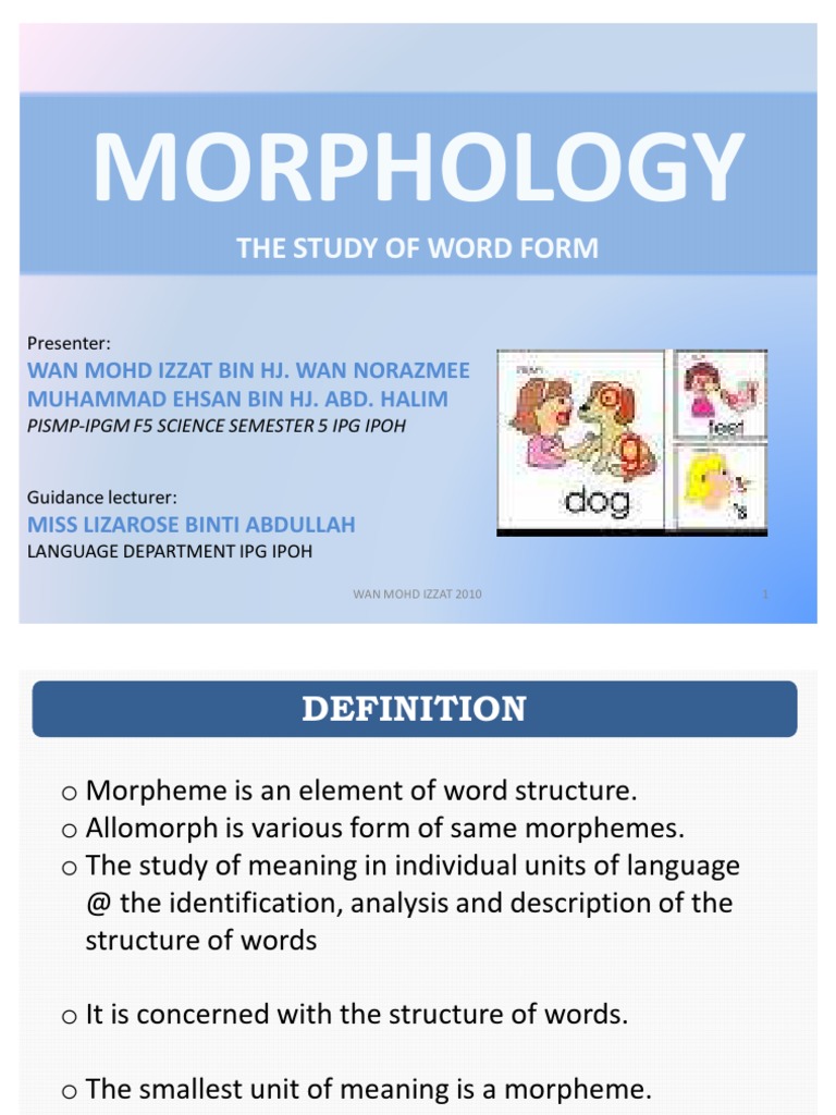 Morphology: The Study of Word Form | PDF