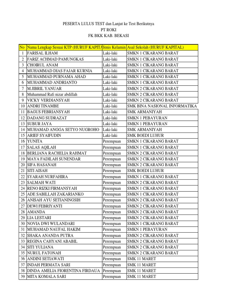 Lulus Test PT Roki | PDF