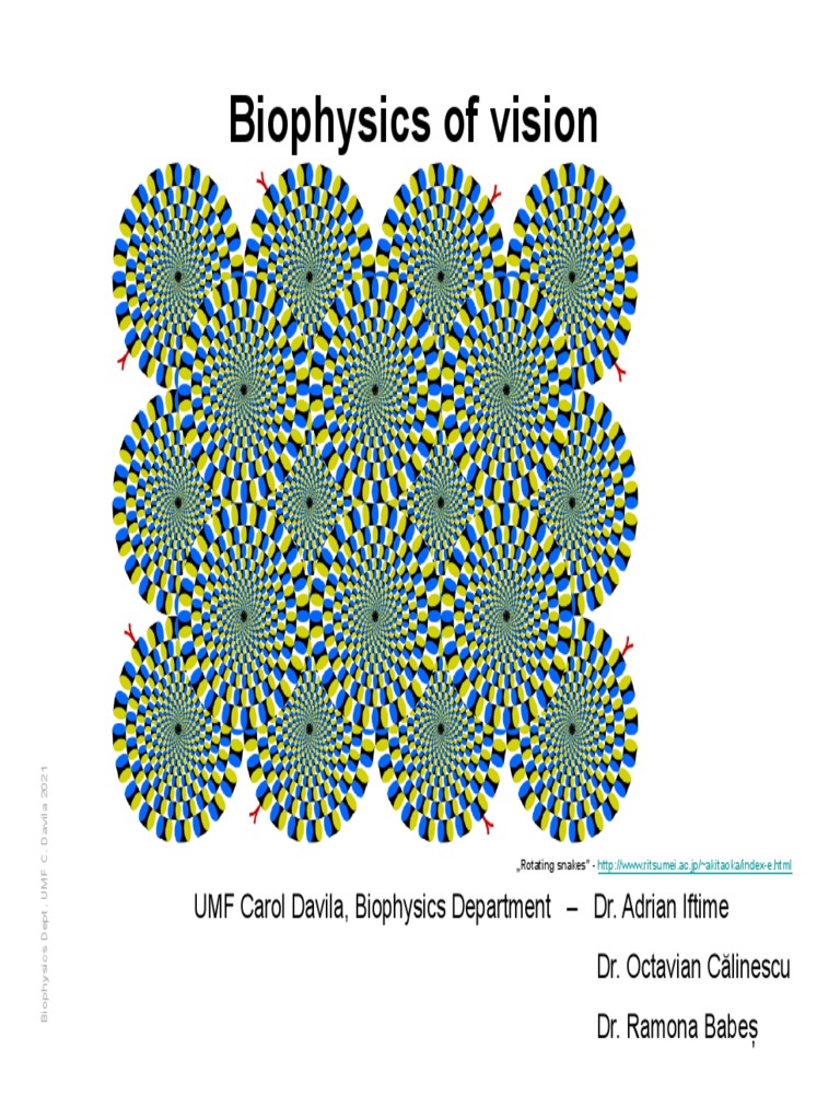 2.biophysics of Vision | PDF | Retina | Eye