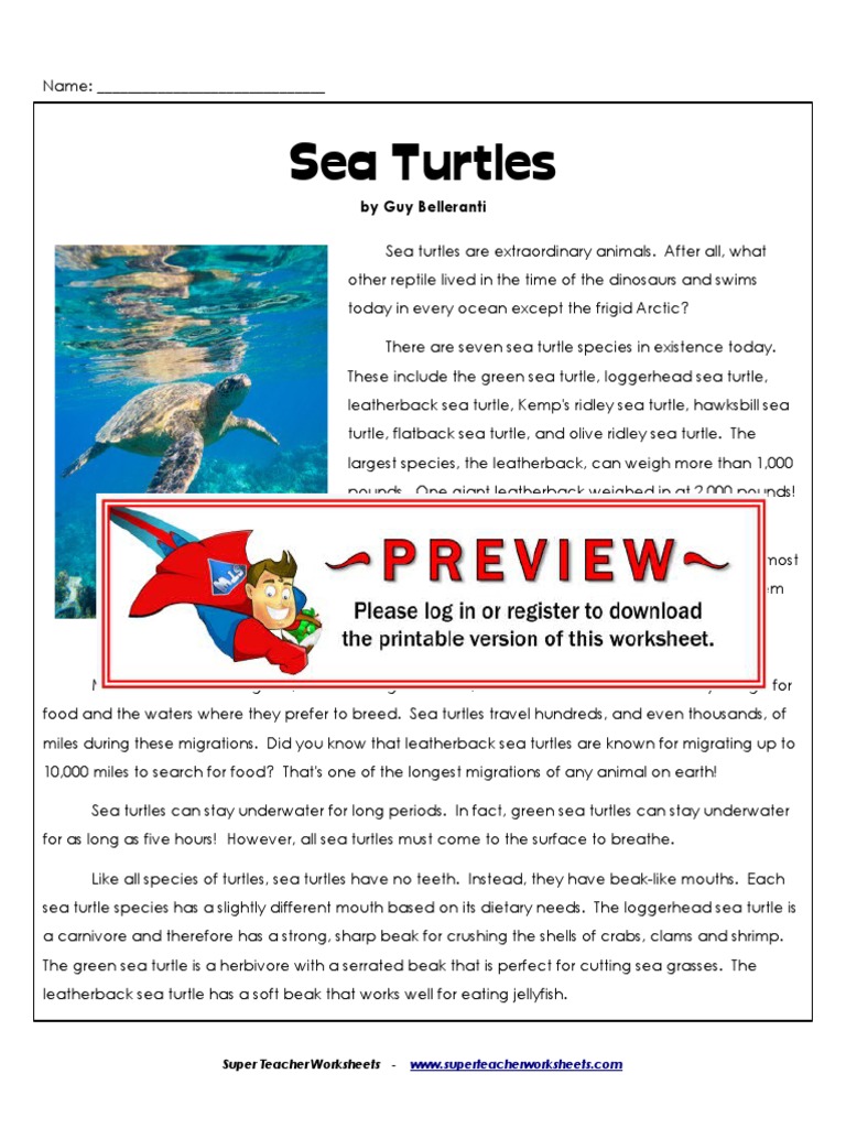 Sea Turtles: by Guy Belleranti | PDF | Sea Turtle | Turtle