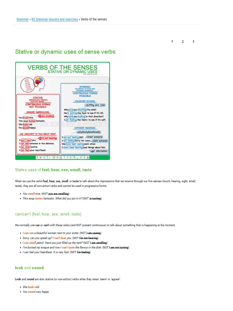 7-Verbs of the senses | PDF | Adjective | Verb