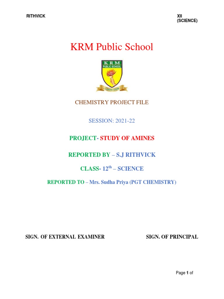 KRM Public School: Chemistry Project File | PDF | Amine | Molecules