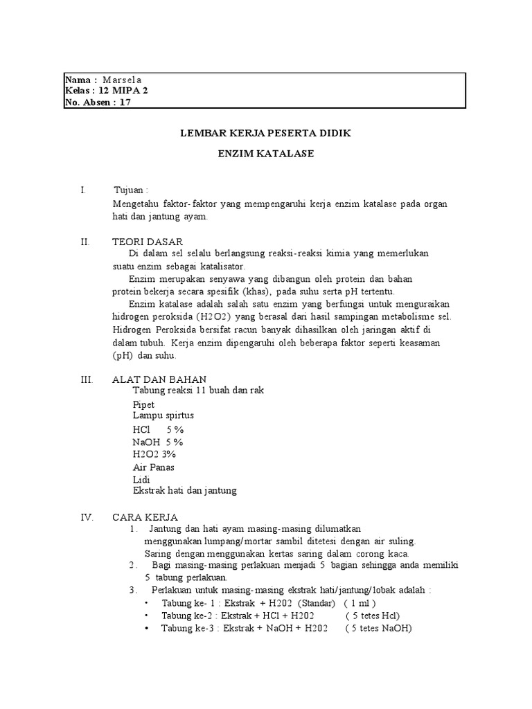 LKPD Enzim Katalase - Marsela | PDF