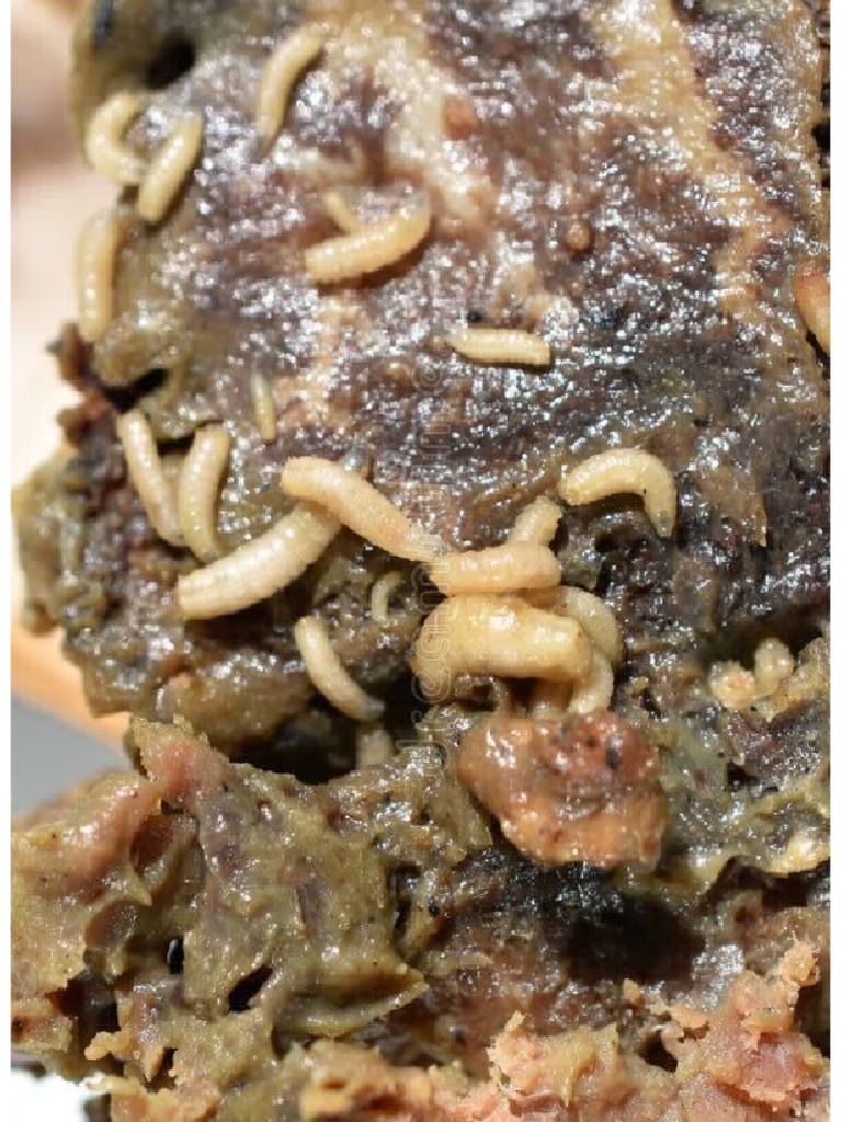 Daging Busuk | PDF