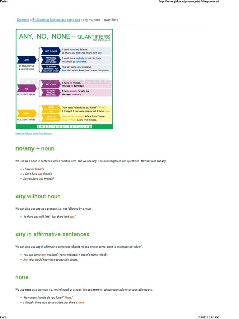 Understanding No, Any, and None | PDF | Noun | Verb