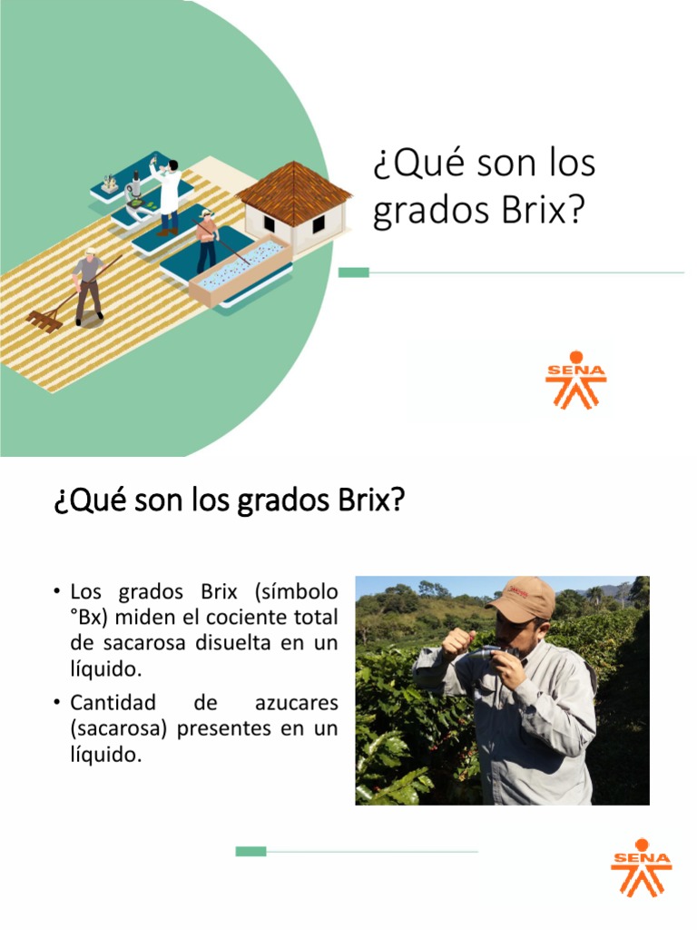 Herramienta Monitoreo Grados Brix | PDF | café | Concentración
