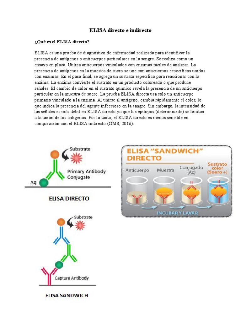 ELISA Directo e Indirecto | PDF | Elisa | Anticuerpo