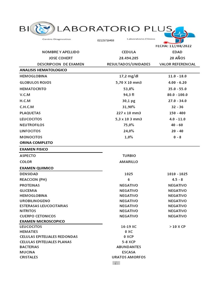 formato de examenes | PDF