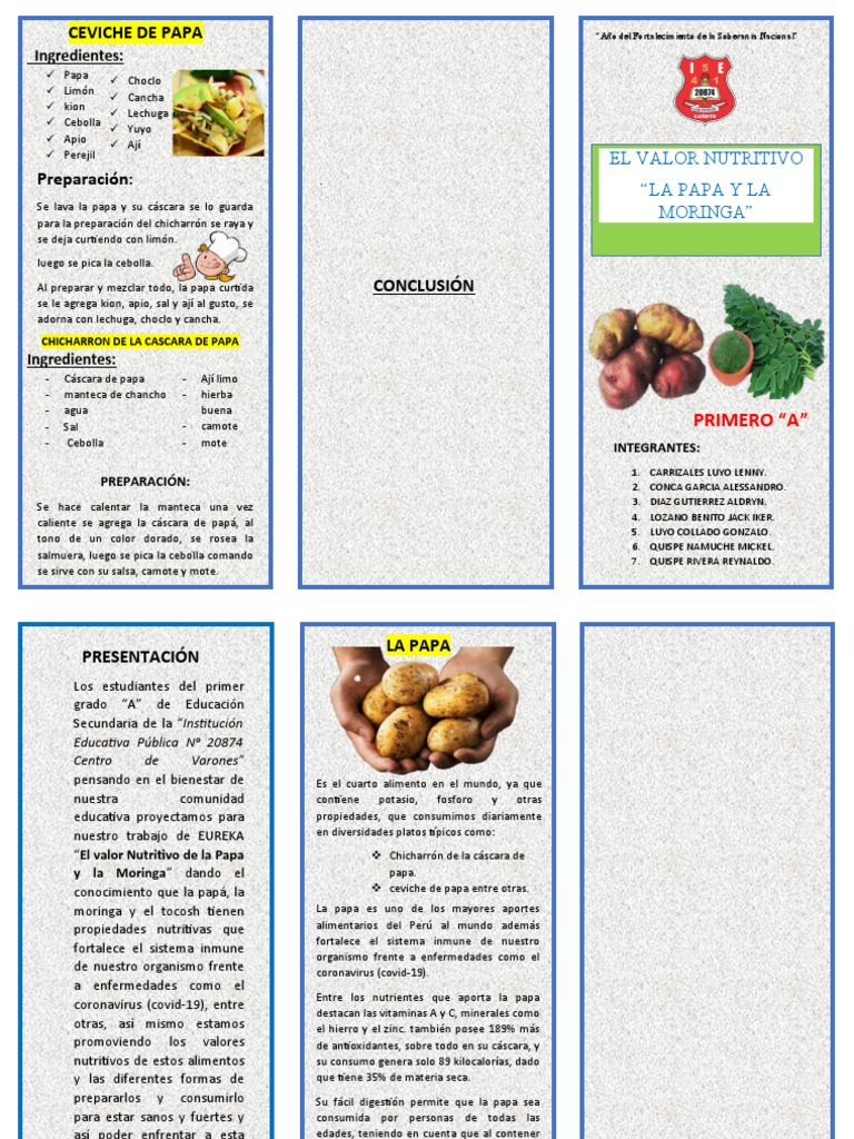 Triptico-Valores Nutrivos de La Papa y La Moringa | PDF | Nutrición | Dieta y nutrición