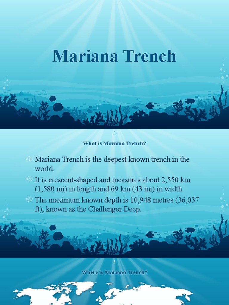 Mariana Trench | PDF | Organisms | Fish