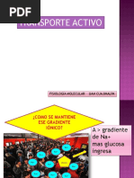 Función y Mecanismo de Bombas de Calcio | PDF | Calcio | Membrana celular