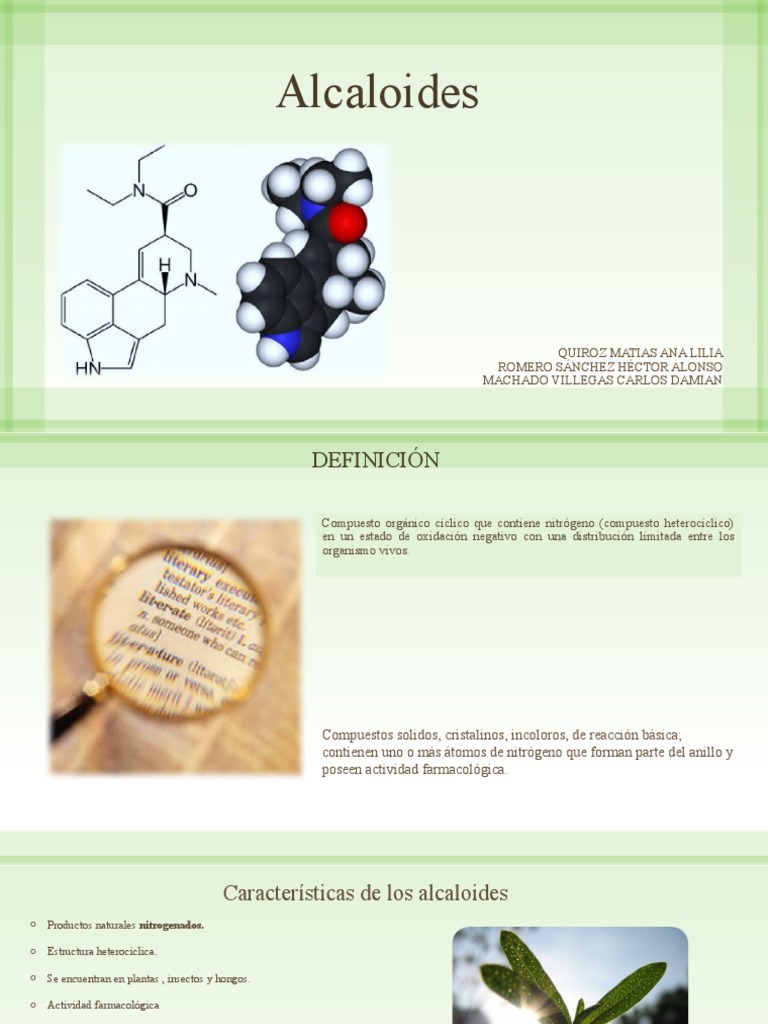 Una descripción completa de los alcaloides, sus características ...