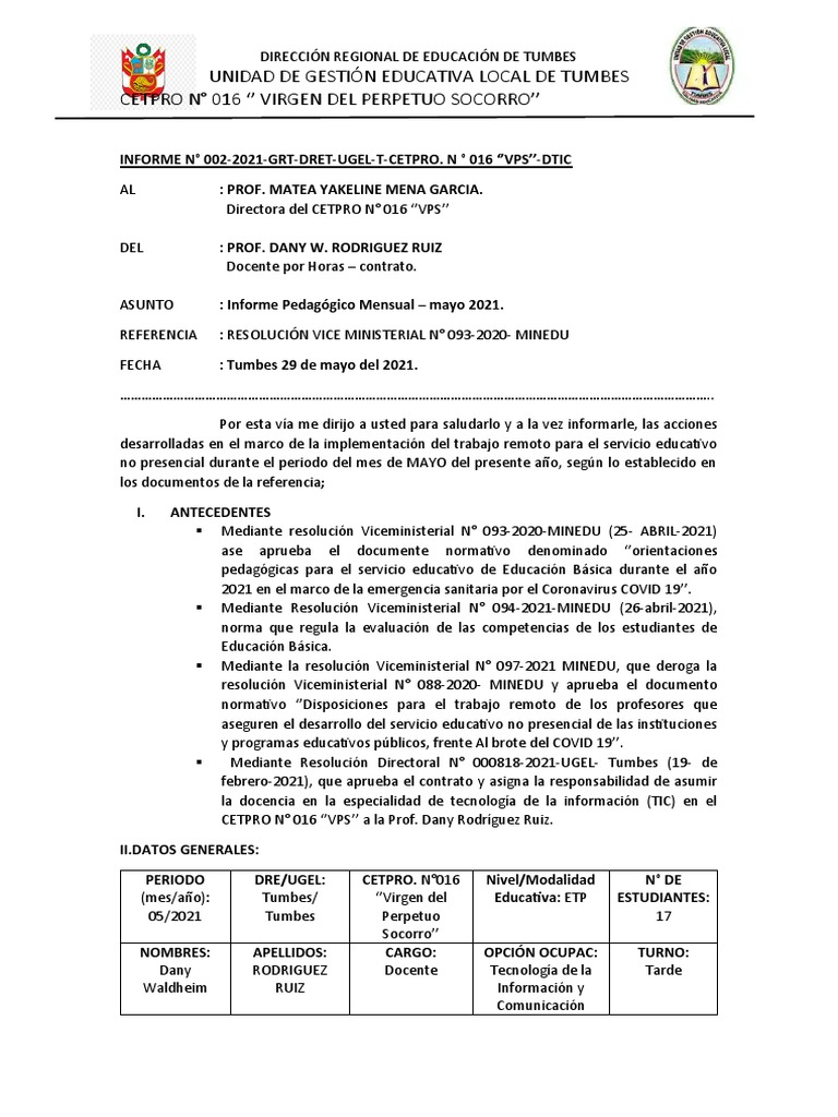Modelo de Informe | PDF