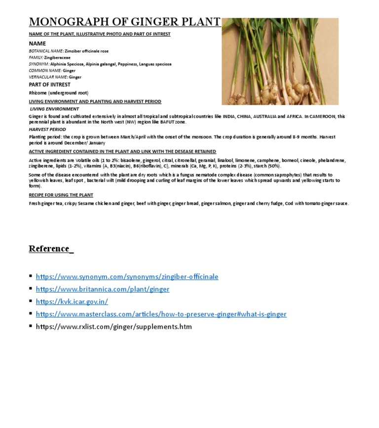 Monograph of Ginger | PDF