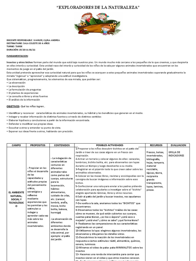 Exploradores de La Naturaleza 2019 | PDF | Geometría | Insectos