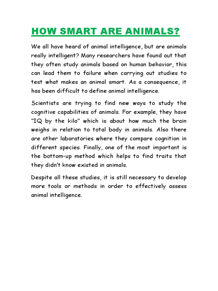 How Smart Are Animals | PDF