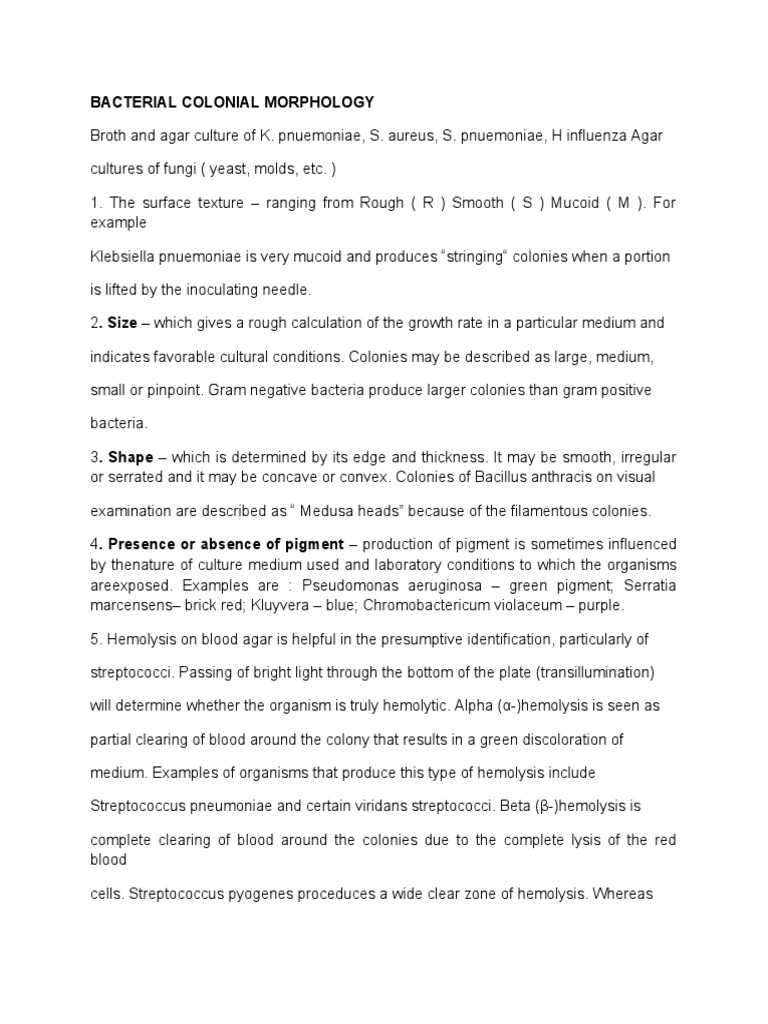 Bacterial Colonial Morphology | PDF | Microbiology | Medical Specialties