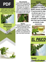 Plantas Medicinales de La Sierra | PDF | Especialidades Medicas | Medicina CLINICA