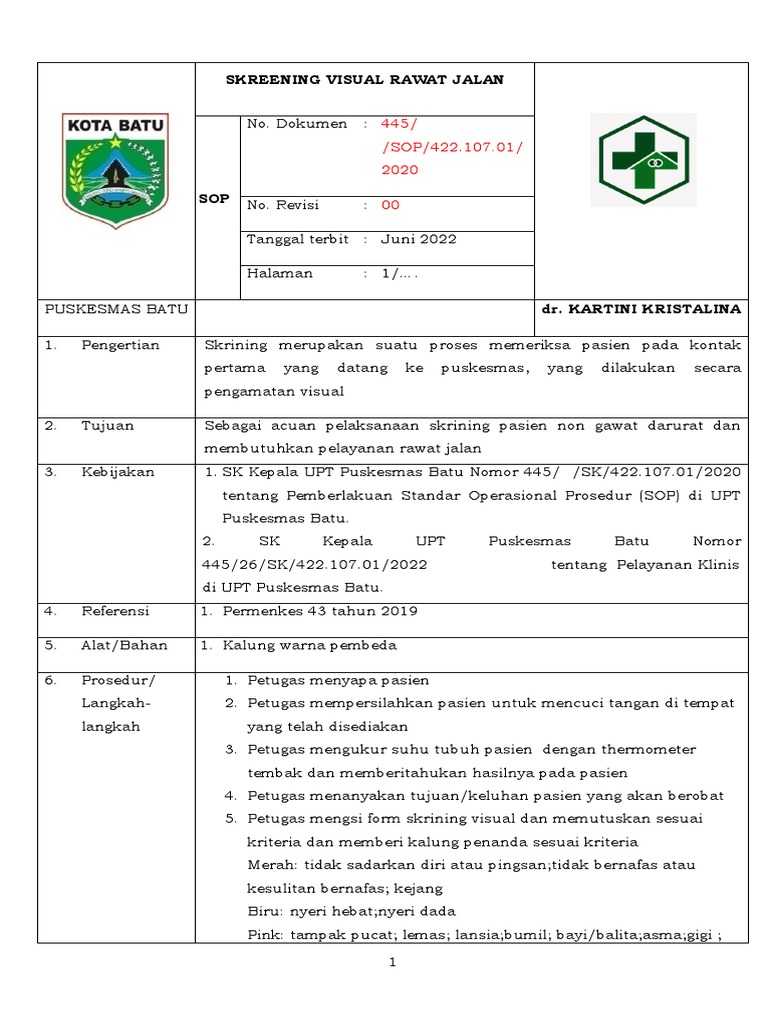Sop Skriing Visual | PDF