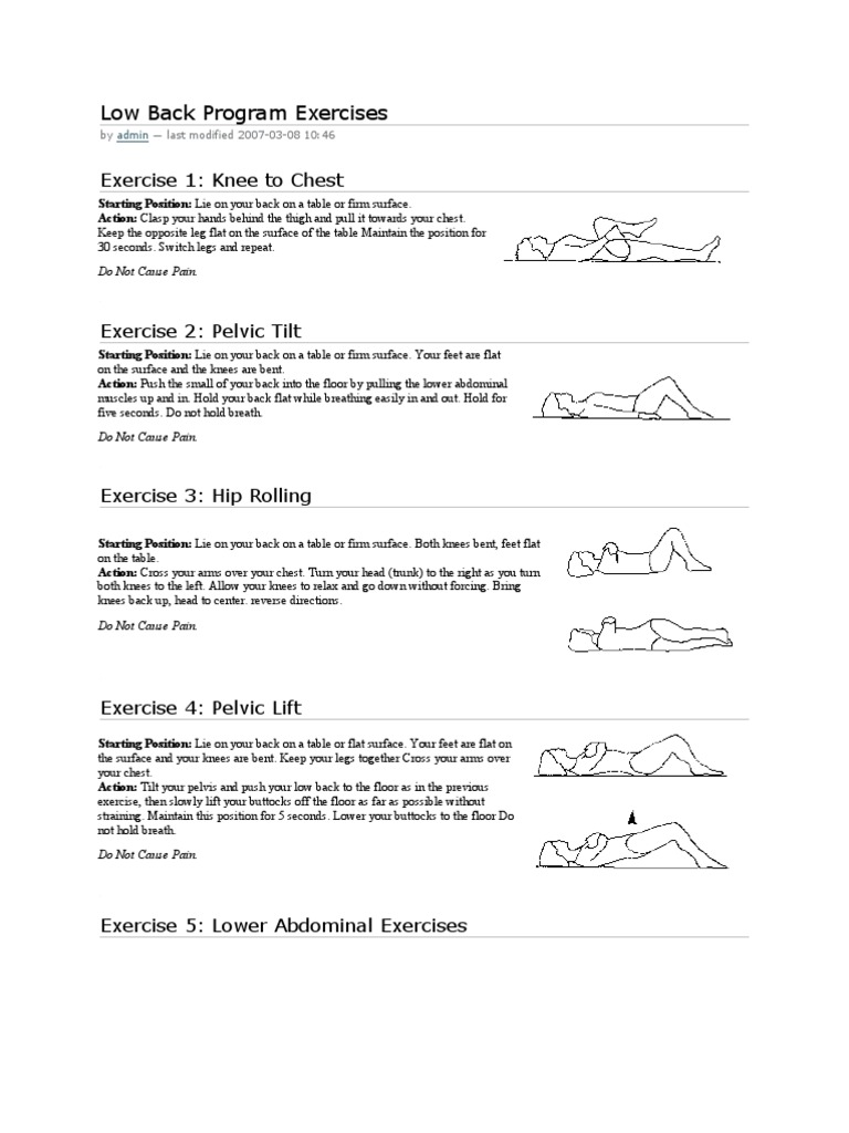 Low Back Program Exercises | PDF | Anatomical Terms Of Motion | Pelvis