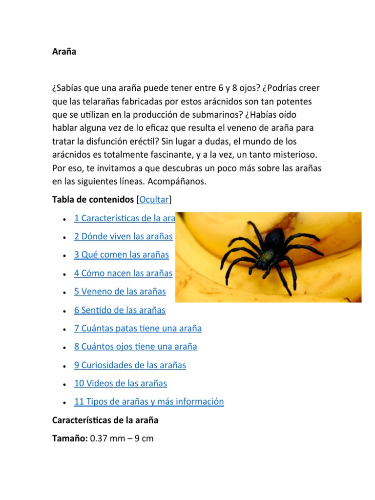 LA Araña | PDF | Salud y bienestar | Ciencia y matemáticas
