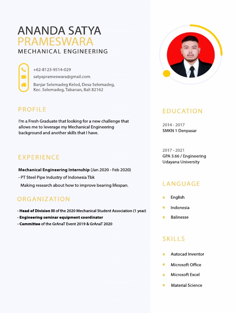 CV Ananda Satya Parameswara | PDF