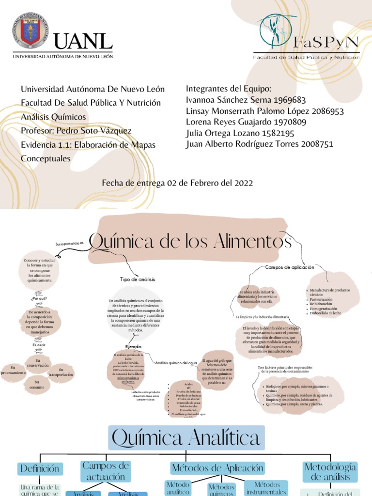 AQ - Mapa Conceptual | PDF | Alimentos | Leche