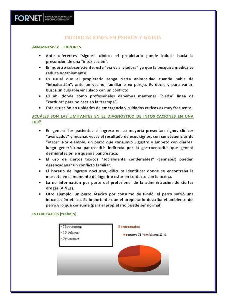 CLASE INTOXICACIONES EN PERROS Y GATOS. Javier Mouly | PDF | Droga anti ...