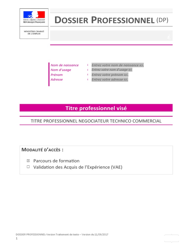 Support Dossier Professionnel Négociateur Technico Commercial | PDF | Évolution de carrière