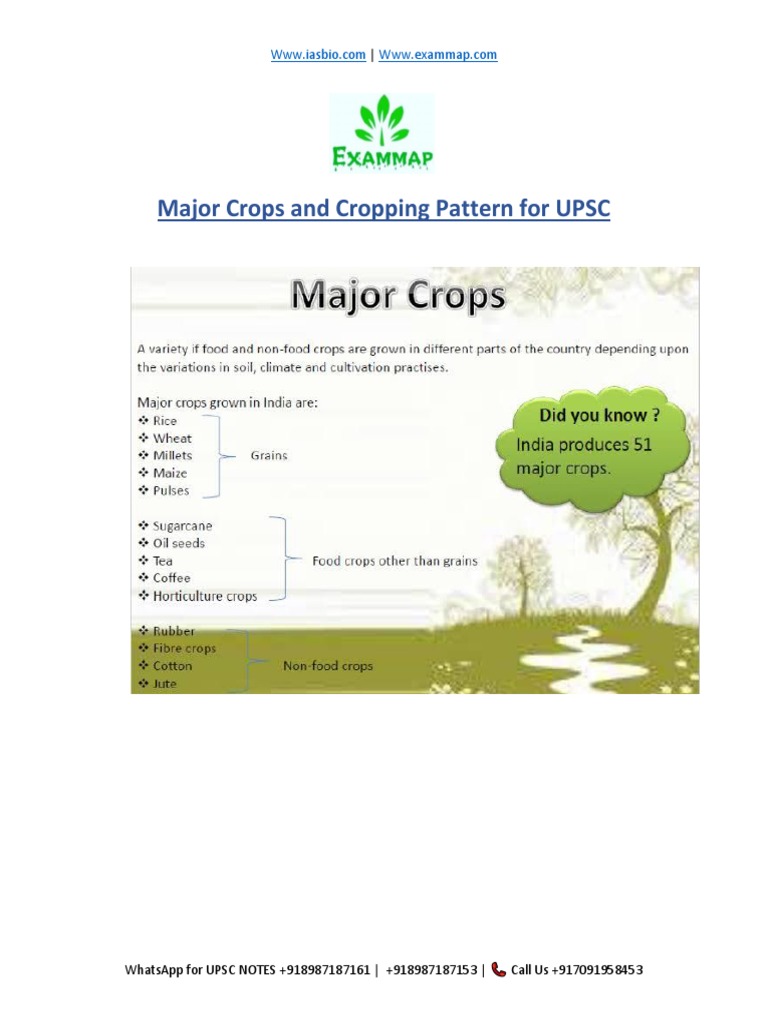 Major Crops and Patterns in India | PDF | Agriculture | Rice