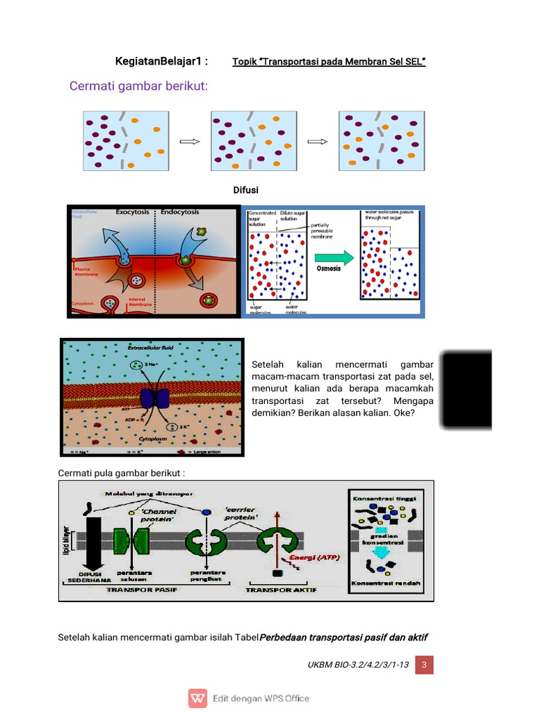 UKBM-BIO 3.2 - 4.2 - 3 - 1-13 Bioproses Sel | PDF