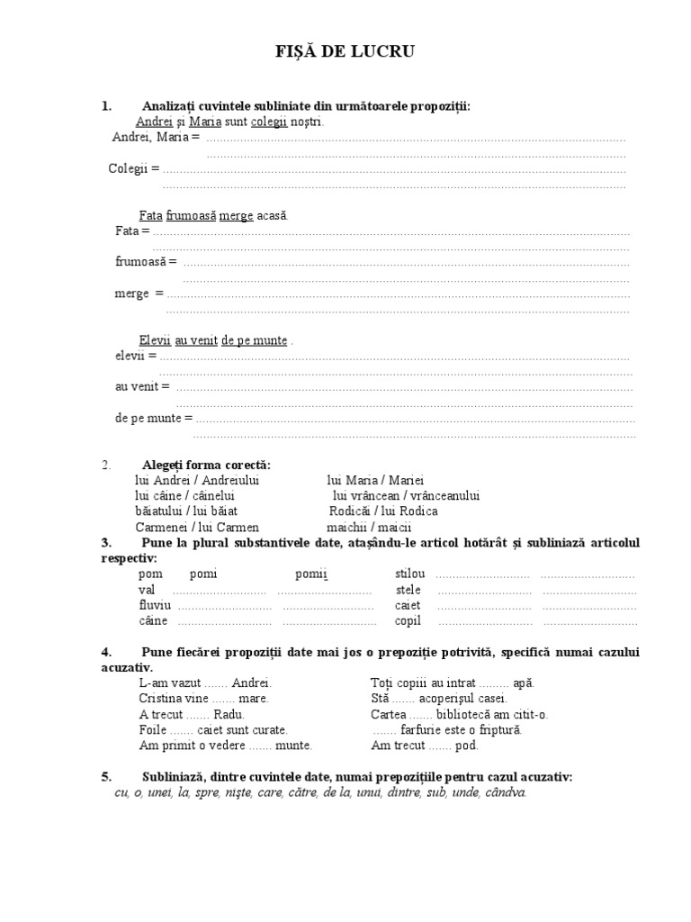 Fisa de Lucru Articol Si Substantiv | PDF