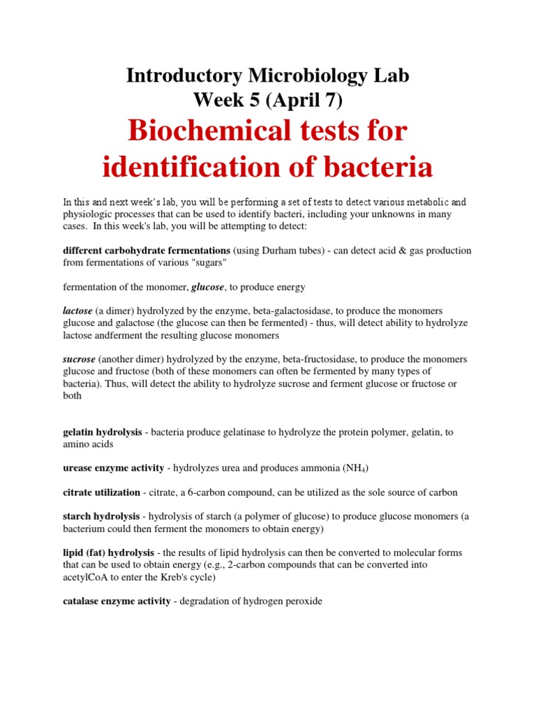 Biochemical Tests Identify Bacteria | PDF